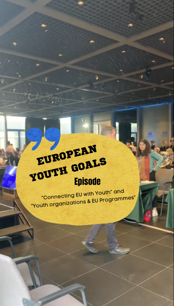 EU Youth Goals - EUDY