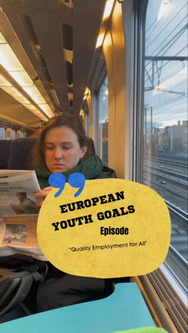 EU Youth Goals - EUDY