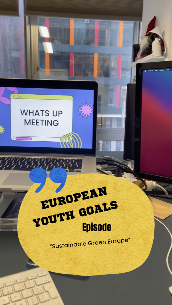 EU Youth Goals - EUDY