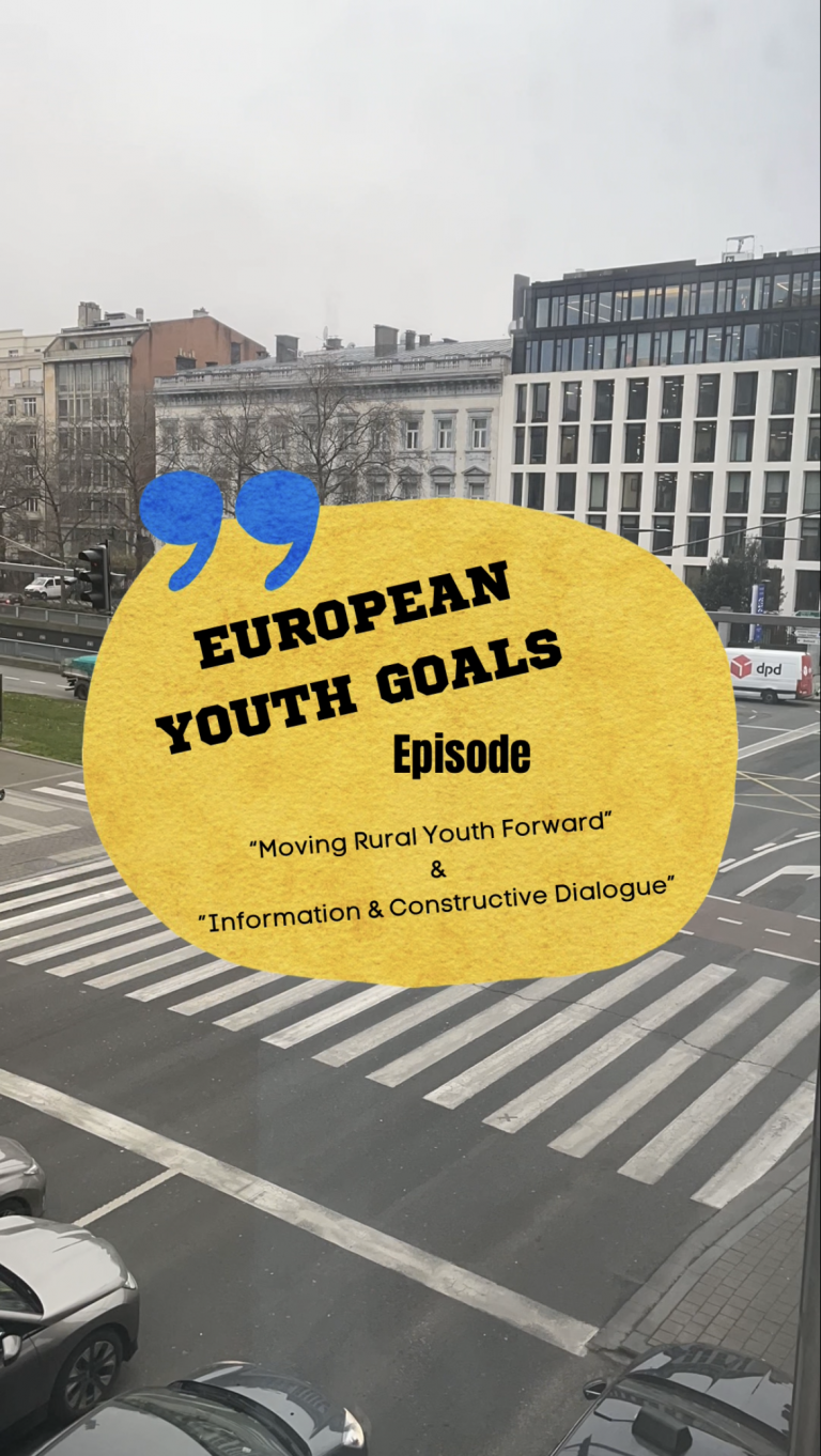EU Youth Goals - EUDY